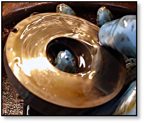 What You Need to Know About Swash Plates in Final Drive Motors