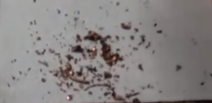 Case Drain Filter: Good or Bad?