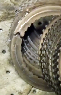 Damaged Final Drives: Brakes