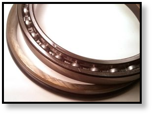 Final Drive Motor Bearings